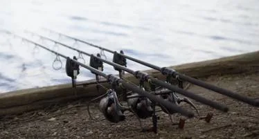 Best Fishing Rods in 2025 - (All Types & Methods Covered)
